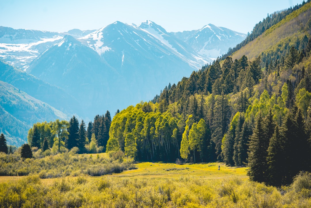 Telluride Inside... and Out | The Truth About Mountain Biking in ...
